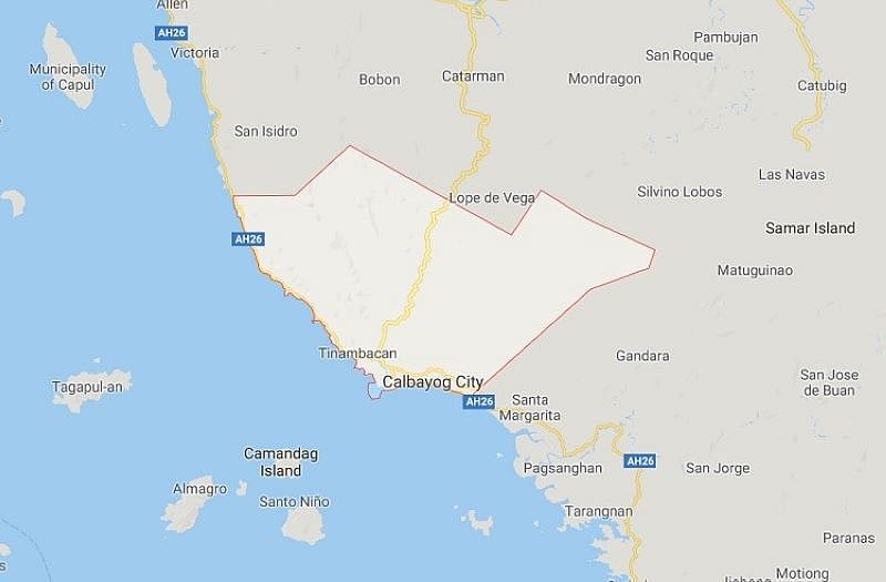 Umagad ni Calbayog bise mayor nakalingkawas sa ambush