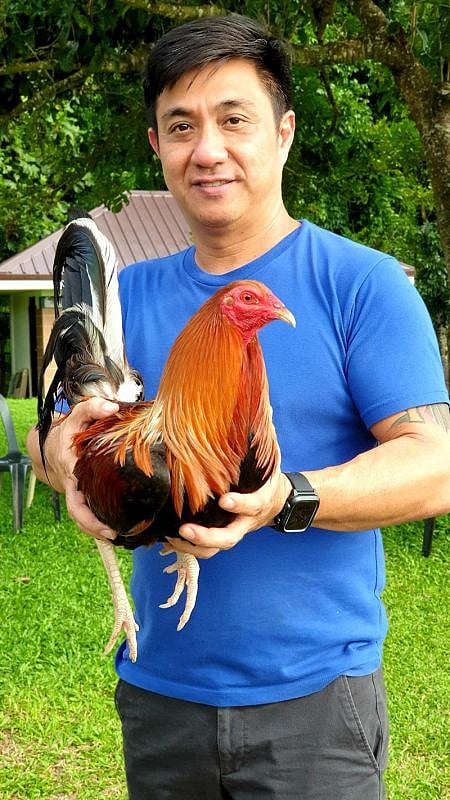 Gaming birds: Andrew Montelibano continues legacy of his father