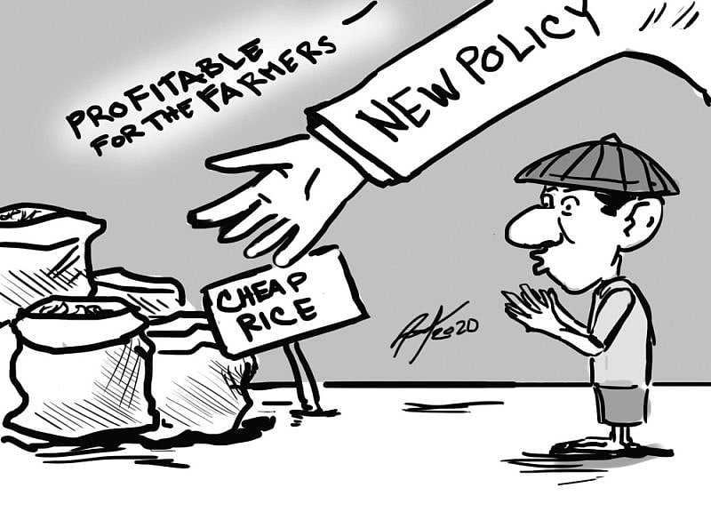 Editorial: Revisit rice production