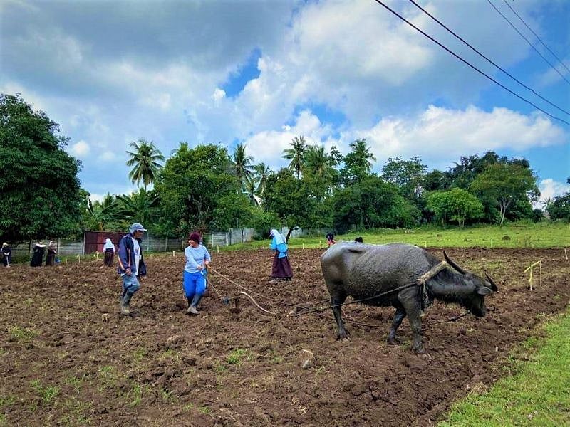 DA-Davao trains nuns to manage farm