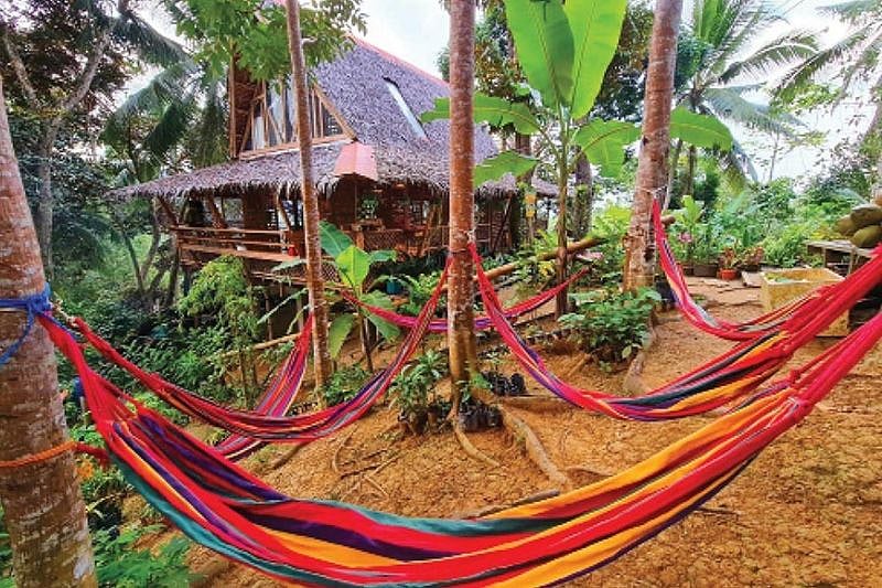 Organic farm opens in Barangay Guba