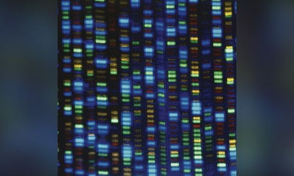 Scientists finally finish decoding entire human genome