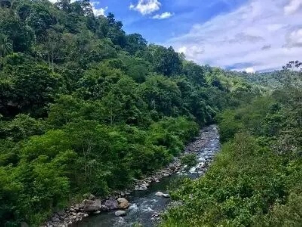 Councilor crafts laws to protect Panigan-Tamugan Watershed