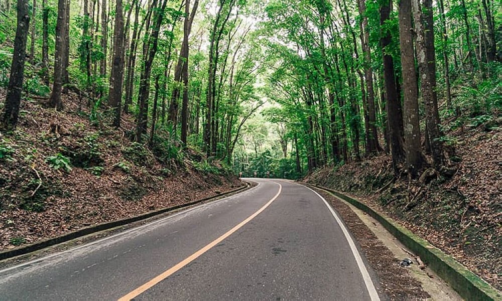 Bohol Loop 2023: Pagpalambo sa Turismo (Part 2)