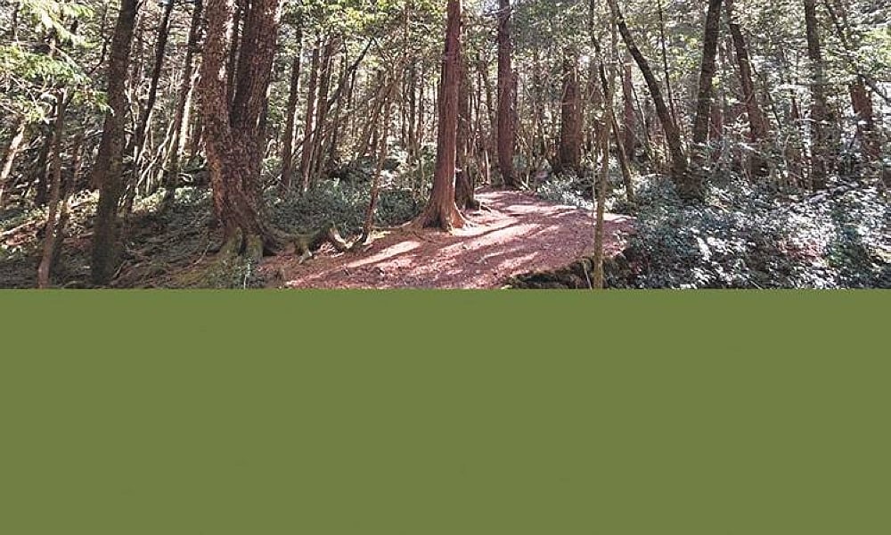 Award-winning Bisaya writer Avenido on ‘Ikigai,’ aliens and the OFW life