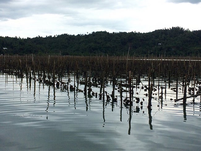 10 reasons why you should visit Capiz