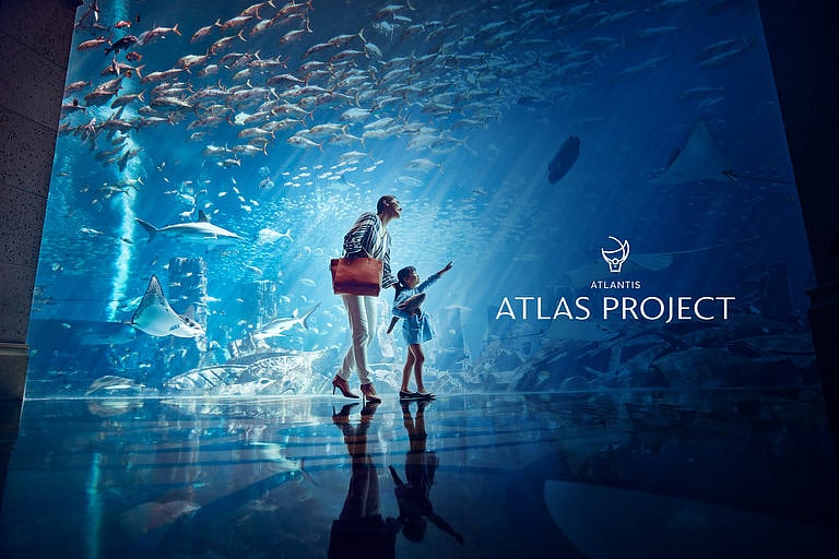 9 Sustainability Initiatives Funded by Atlantis Atlas Project