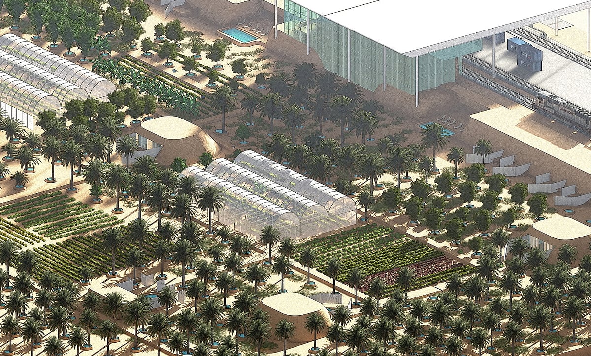 Emirati Youth's Agro-Industrial Tourism Project Bags Sustainability ...