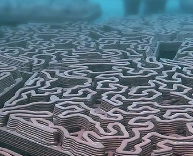 ADQ, EAD and Archireef Successfully Deploy Marine Biodiversity ...