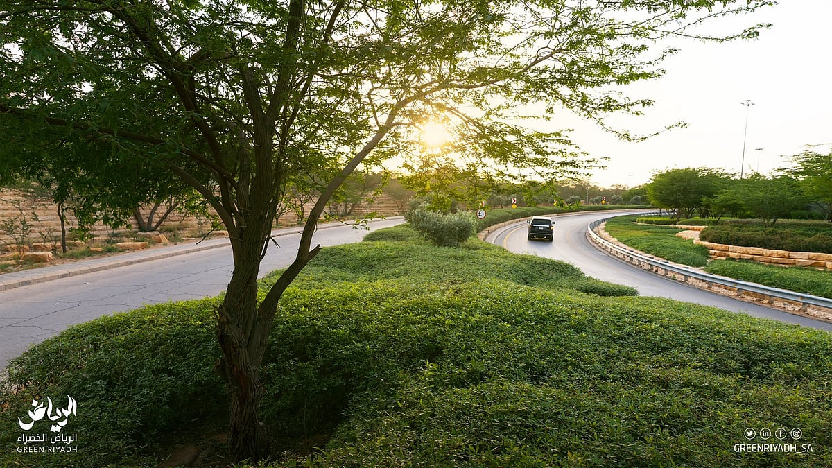Green Riyadh: 1,350 km Water Network to Irrigate 7.5 Million Trees in ...
