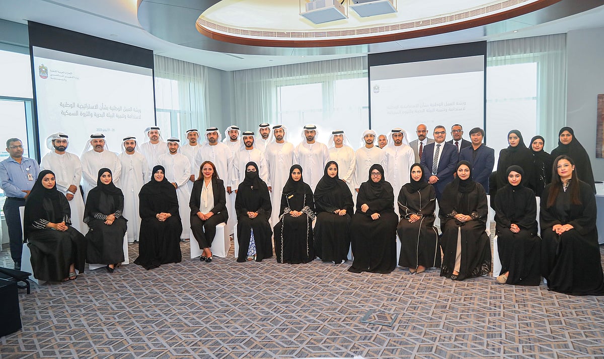 MOCCAE Organises Workshop on National Strategy for Sustainability of ...