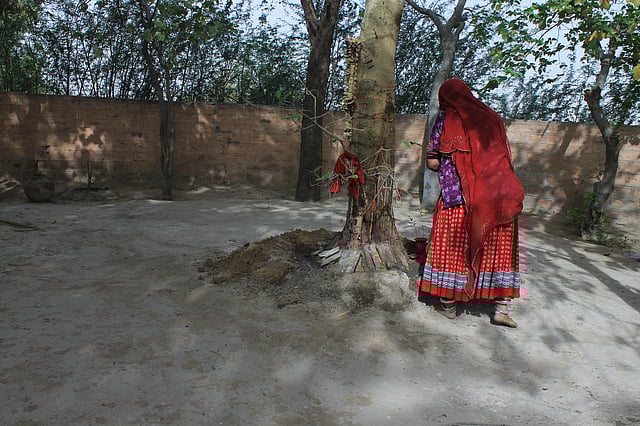 Ardent Environmentalists: How Women Of A Jodhpur Village Propel The ...