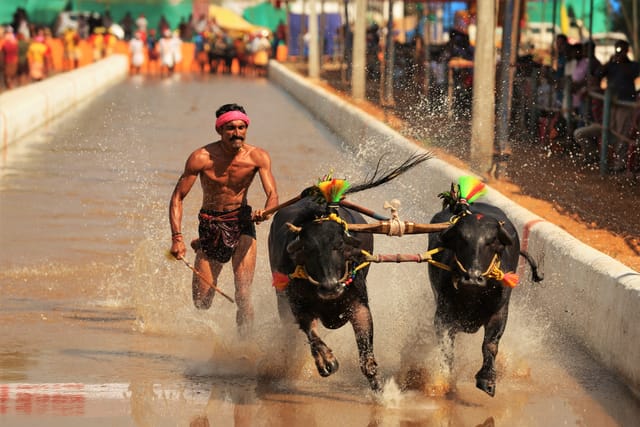 Kambala Champions Don’t Need Olympic Validation, They’re Champions Already