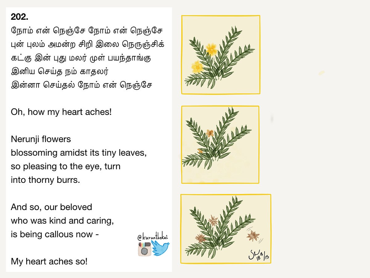 Sangam Poetry: Like Nerunji Thorns