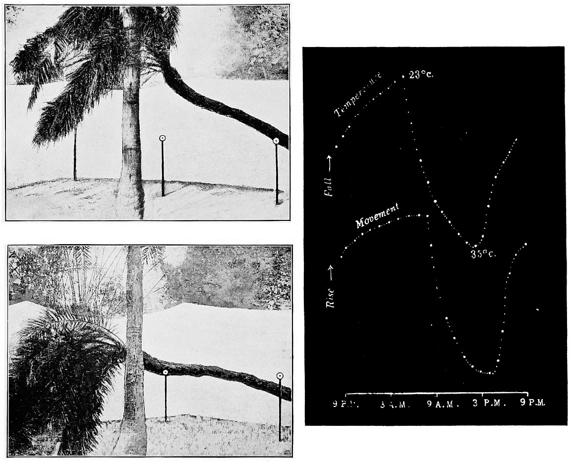 JC Bose: Rigorous Scientist, And Profound Thinker In The Indic Tradition
