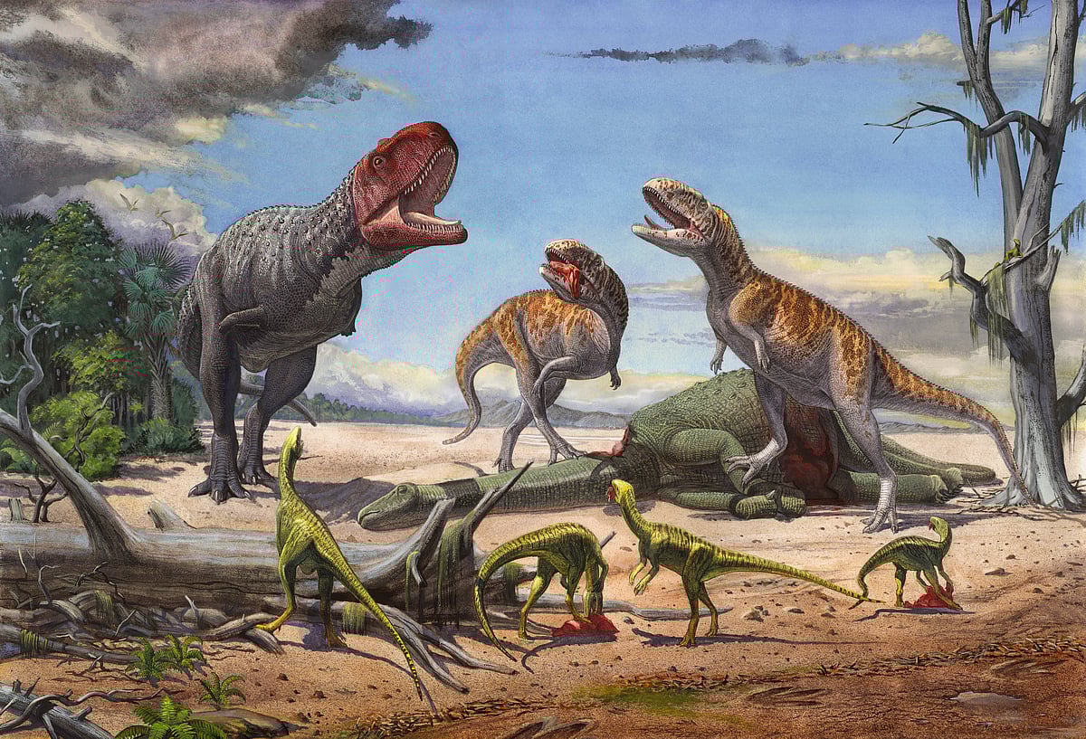 Fossil Facts: India’s Own Desi Dinosaurs Were Bigger and Better Than ...