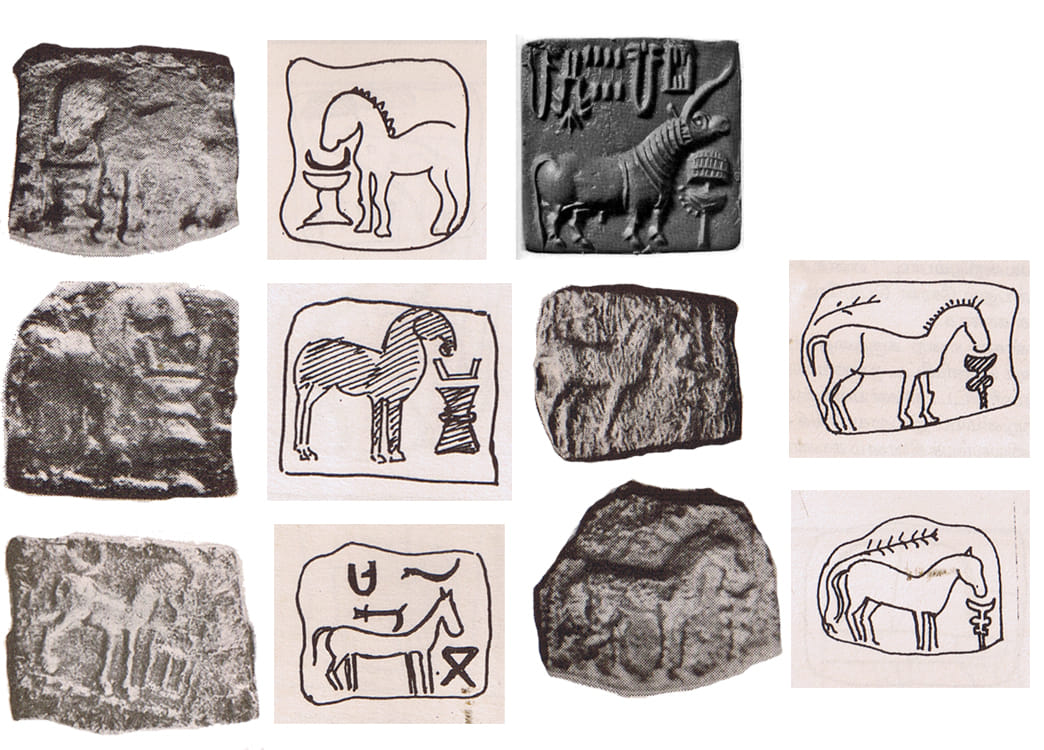 The Missing Horses Of Harappan Seals Are Not Really Missing
