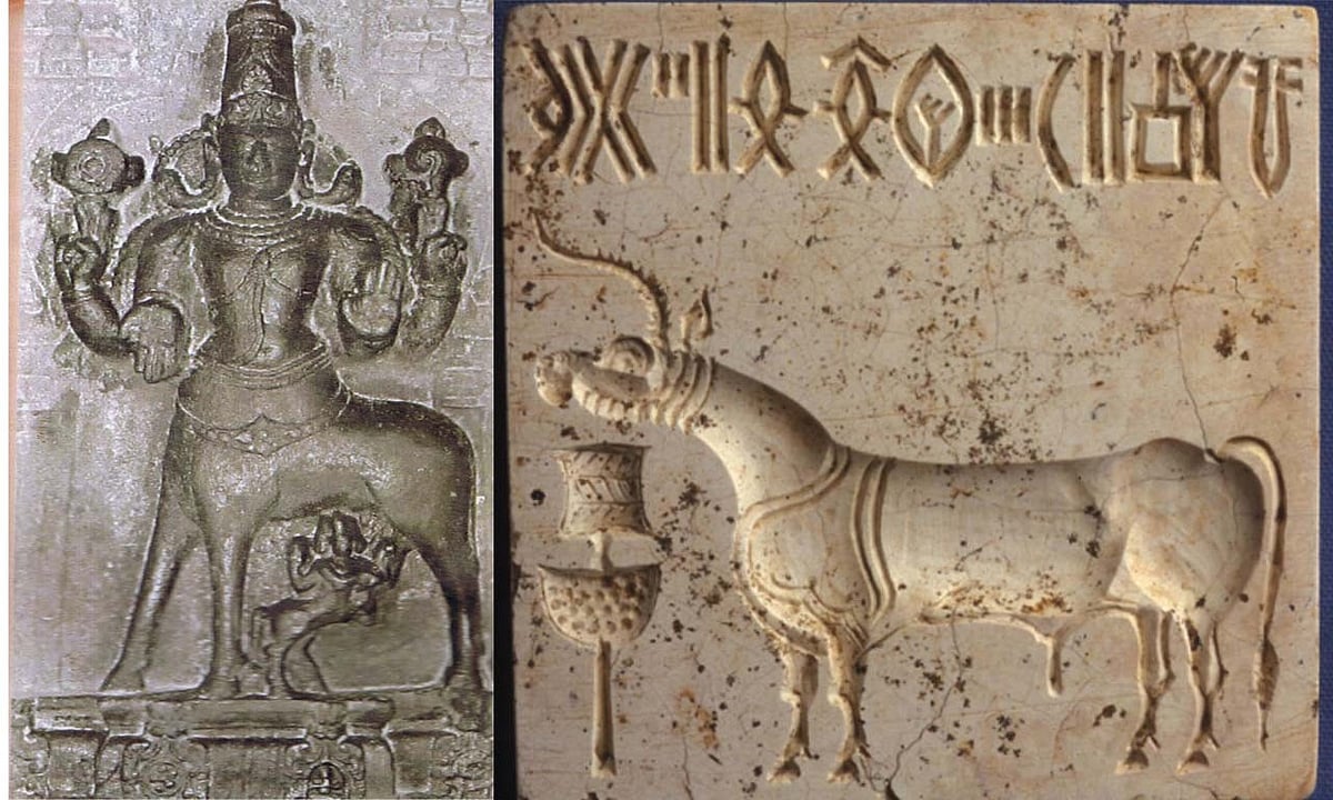 The Missing Horses Of Harappan Seals Are Not Really Missing