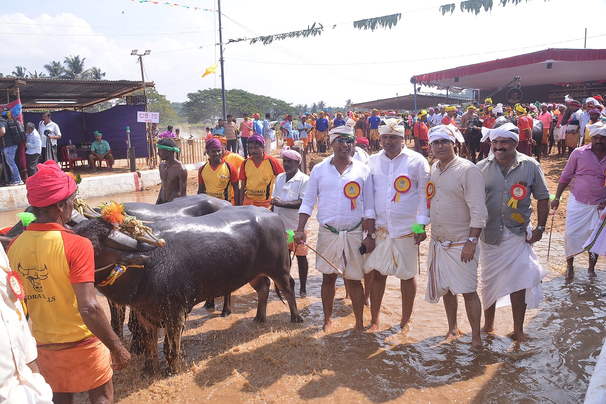 Kambala: How Enthusiasts And Farmers Are Keeping Alive An Old Tradition