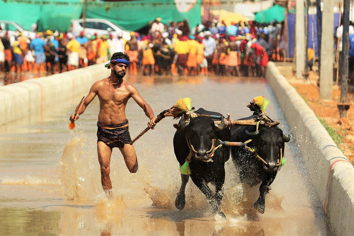 Kambala Champions Don’t Need Olympic Validation, They’re Champions Already