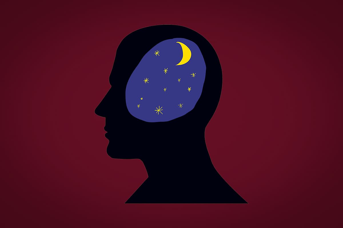 Human Cosmos - A Complementary Work to Carl Sagan’s 'Cosmos'