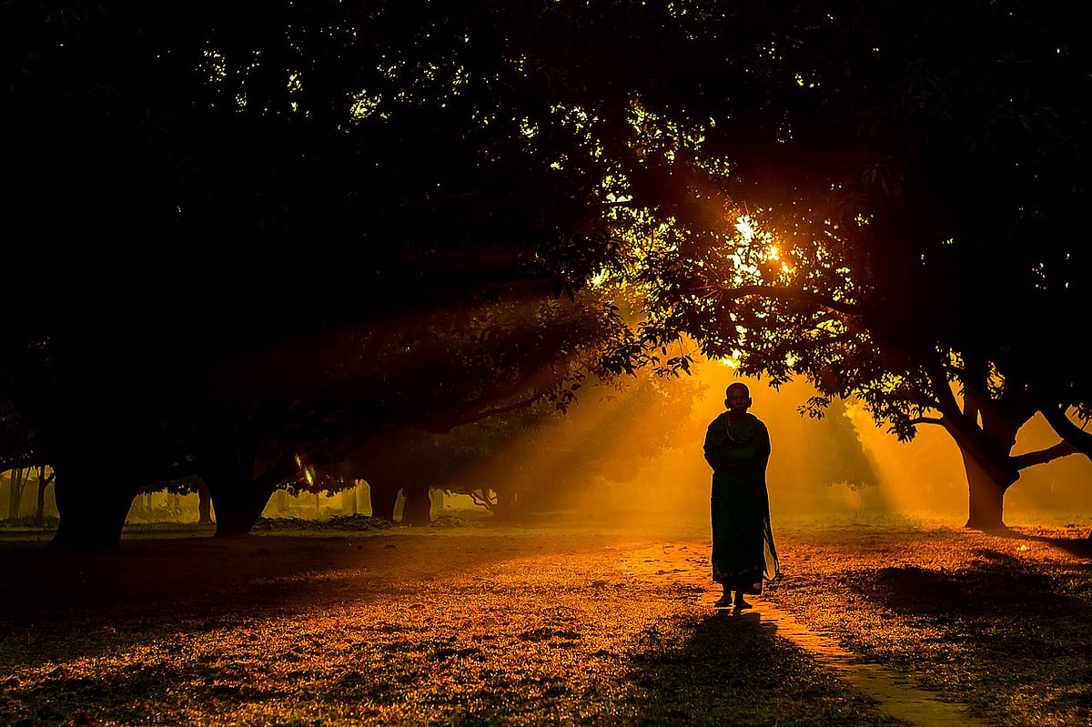 How Not To Think About Hindu Religious Leadership