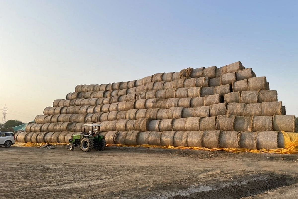 Punjab: Asia’s Largest BioGas Plant Inaugurated In Sangrur, To Prevent ...