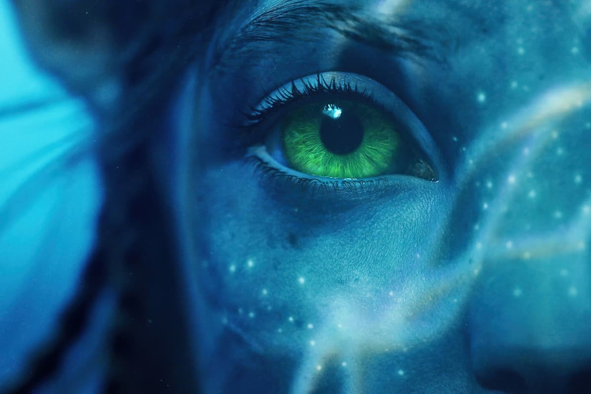 'Avatar: The Way of Water' Is Western Cinema's Rare Acknowledgement Of ...