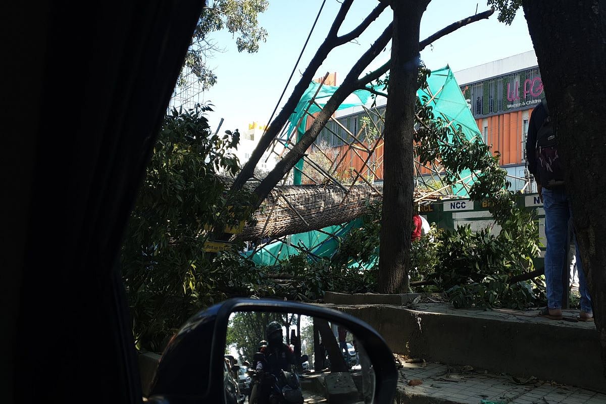 Two Killed As Pier Rebar Collapses At Metro Construction Site At Bengaluru