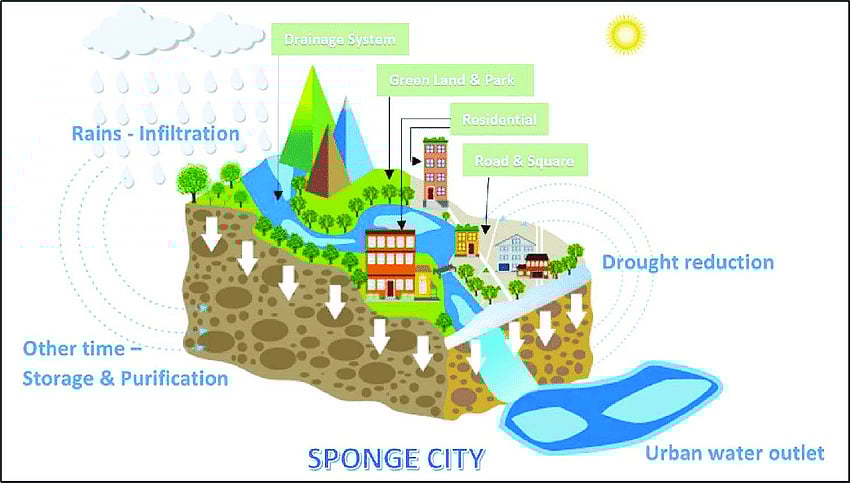 Chennai's Transformation Into Sponge City: GCC To Set Up 57 Sponge Parks For Flood Prevention