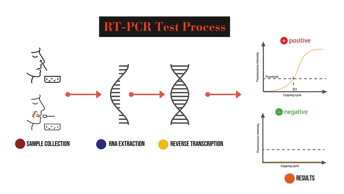 Decoding RT-PCR report and its complicated nomenclature