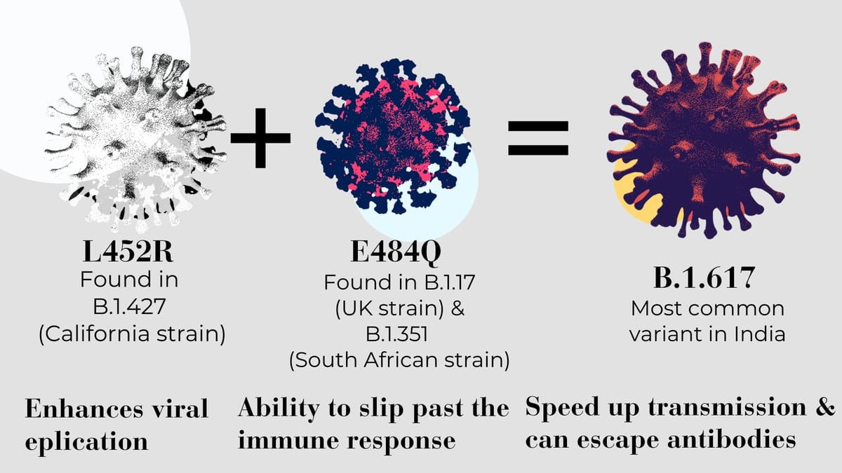 Inside B.1.617 COVID-19 Variant: Here’s what we know about ‘Indian Strain’