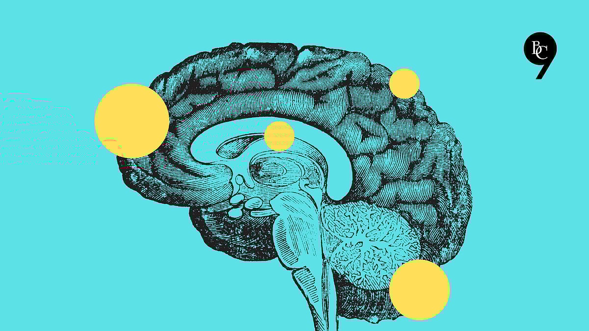 Everyday Things That Damage Our Brain everyday-things-that-damage-our-brain