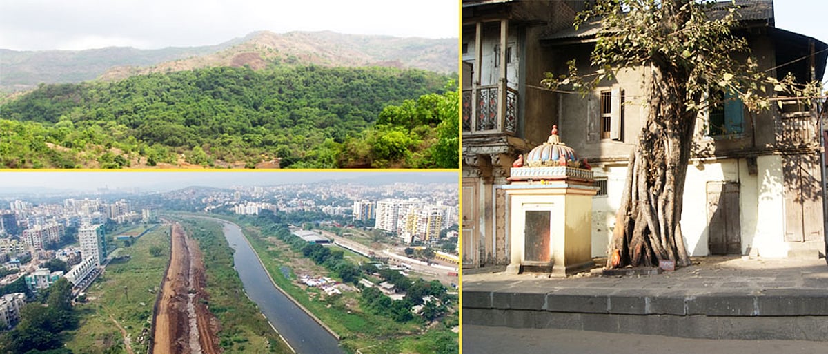 Why it’s important to own your natural heritage