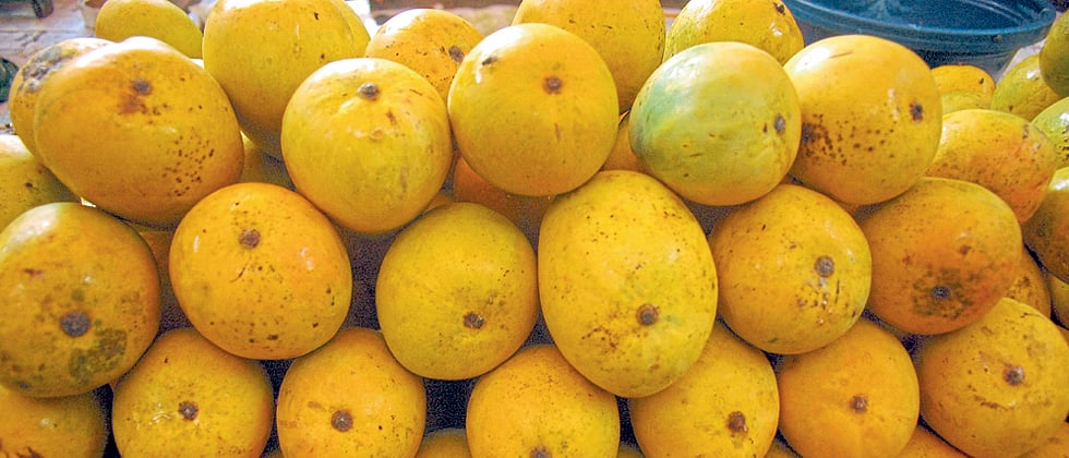 Hapus arrives with less supply