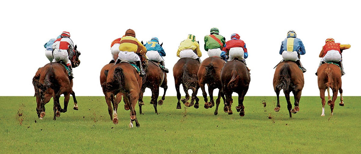 Madagascar wins main event