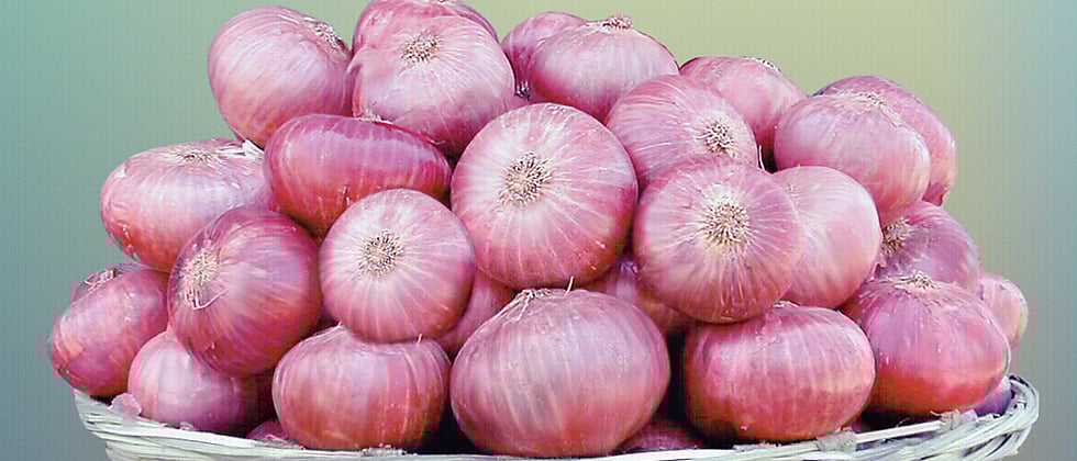 Wholesale onion price reduces to Rs 5,000 per quintal at APMC