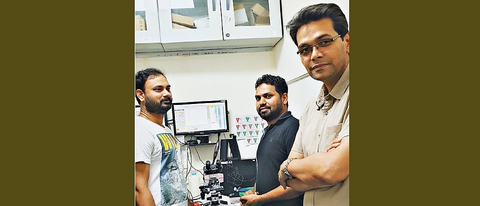 Research to help devp drugs for brain diseases