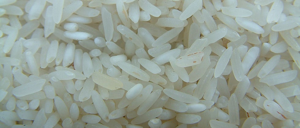 Bhandara Chinnor rice to get a GI-tag for its farmers