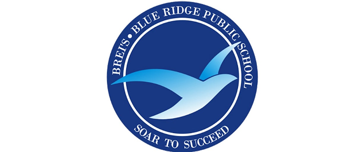 Student of Blue Ridge Public School wins gold at INSEF