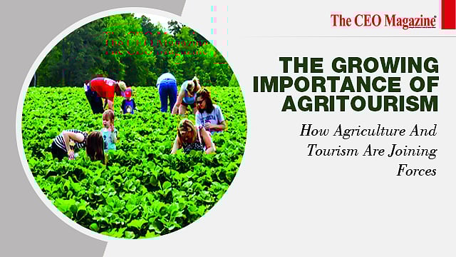 The Growing Importance Of Agritourism: How Agriculture And Tourism Are ...