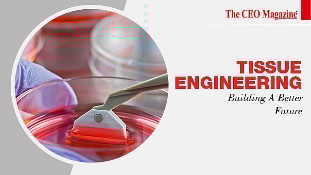 Tissue Engineering: Building A Better Future