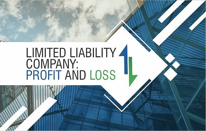 Limited Liability Company: Profit and Loss
