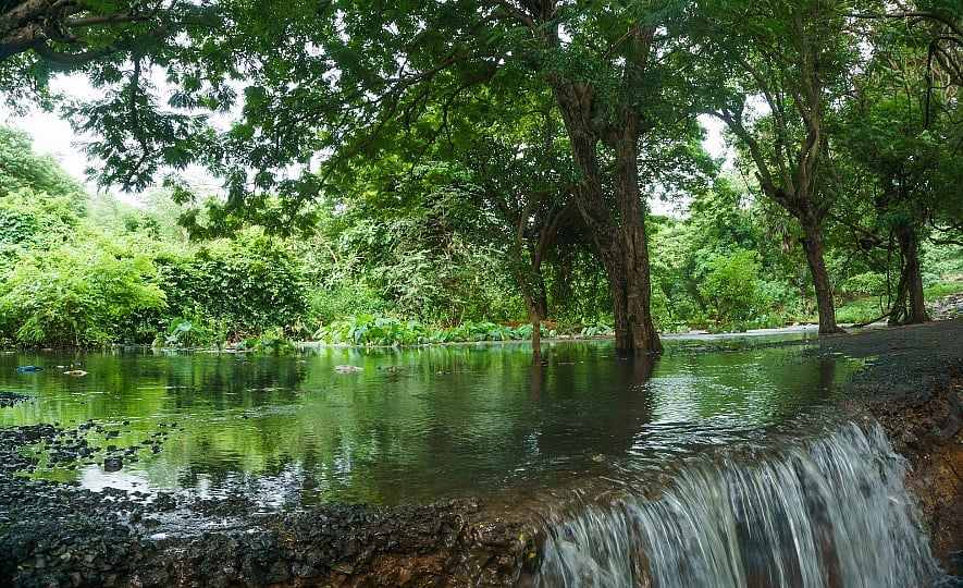 Aarey Forest Tribes: Mumbai stands to lose its cultural wealth with the ...