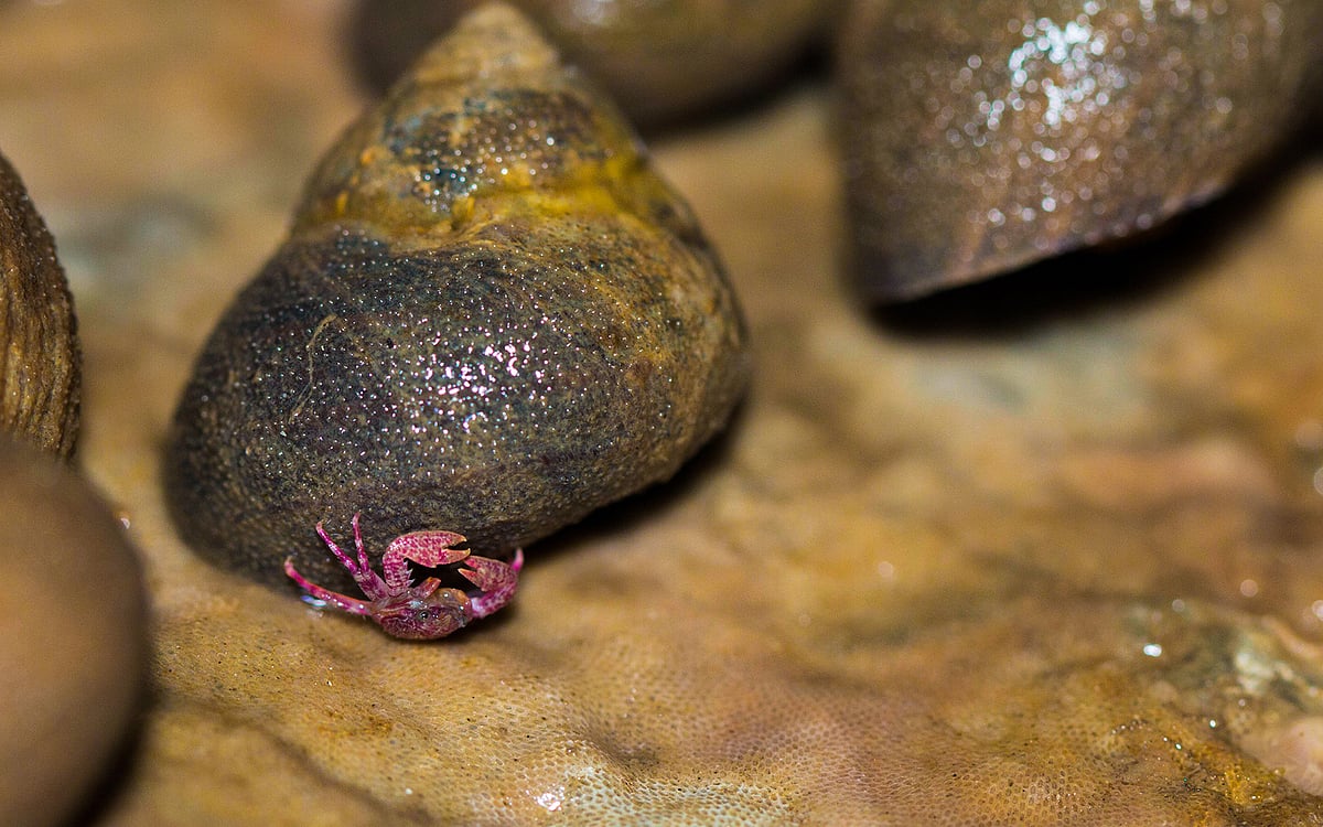 Initiatives in urban India are creating awareness about our cities ...