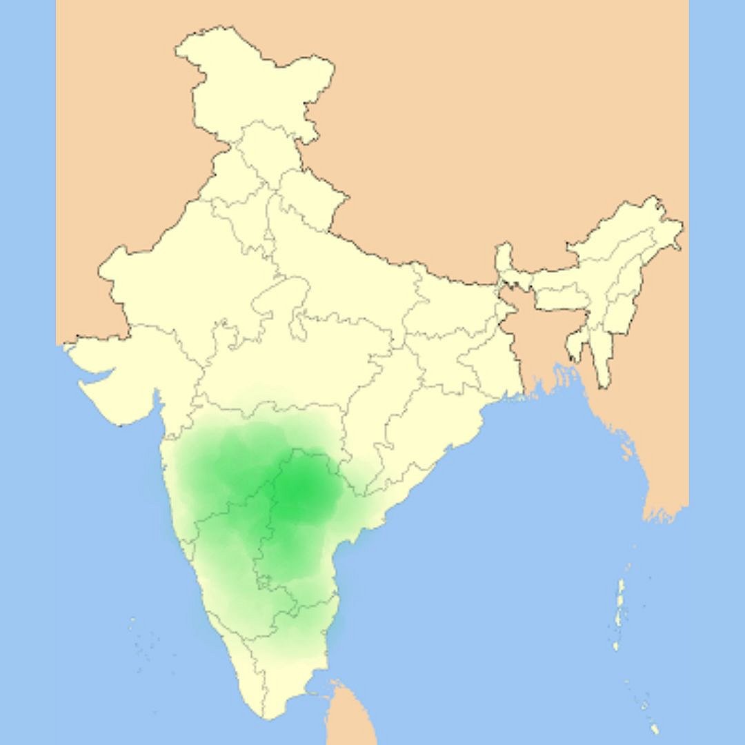 How can Dakhni reinstate its linguistic identity?