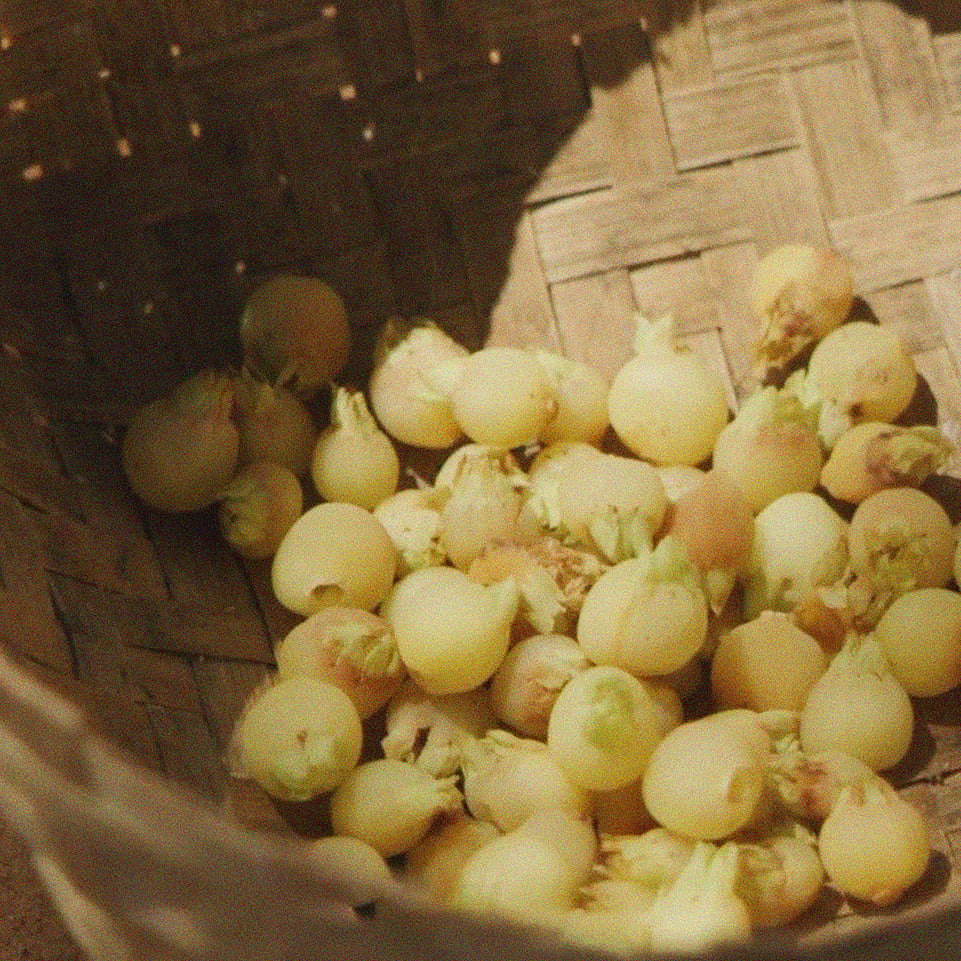 How chef Shrimoyee Chakraborty is demystifying an Indian liquor by ...