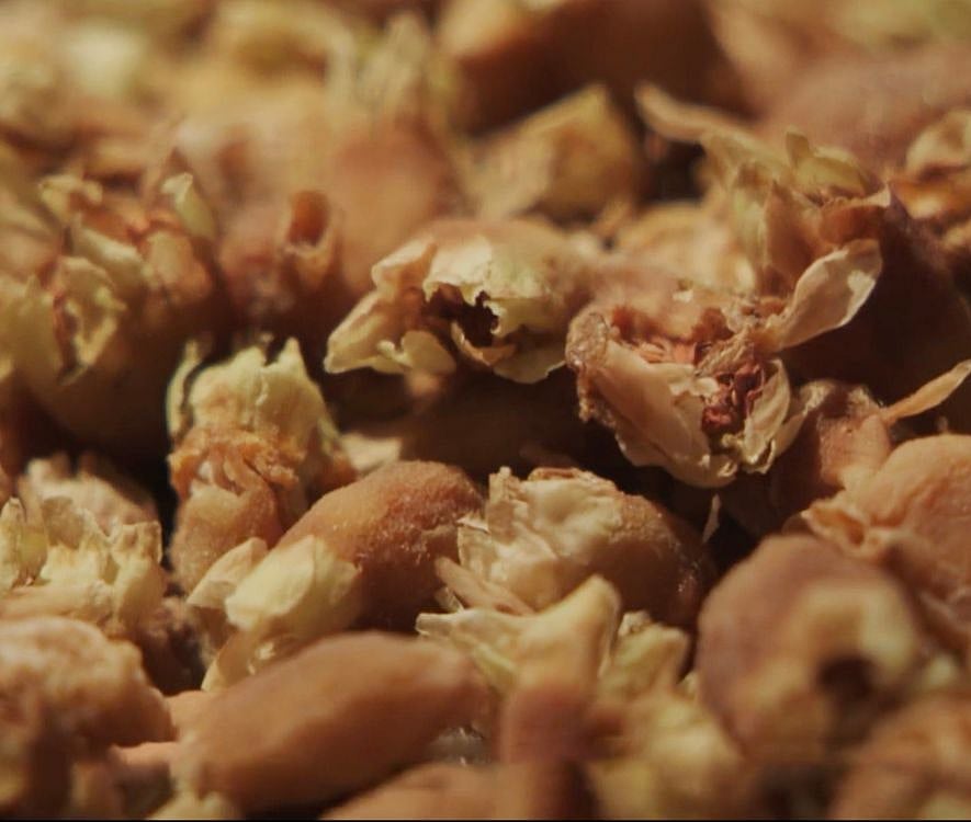 How chef Shrimoyee Chakraborty is demystifying an Indian liquor by ...