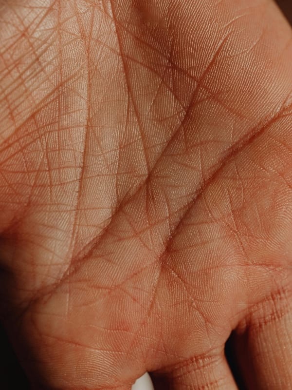 Understanding Palmistry: Science, Lines, and Hand Shapes | The Established