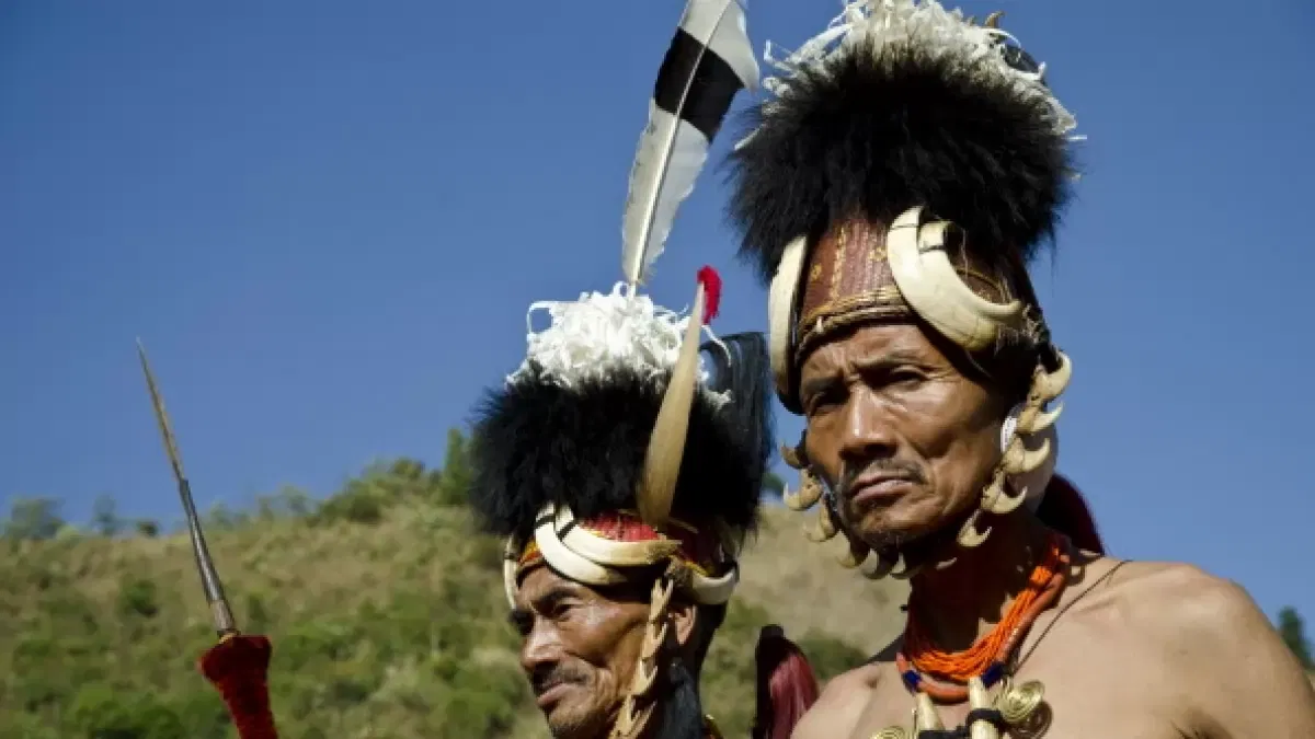 Understanding the Process of Inclusion in the Scheduled Tribes Category ...